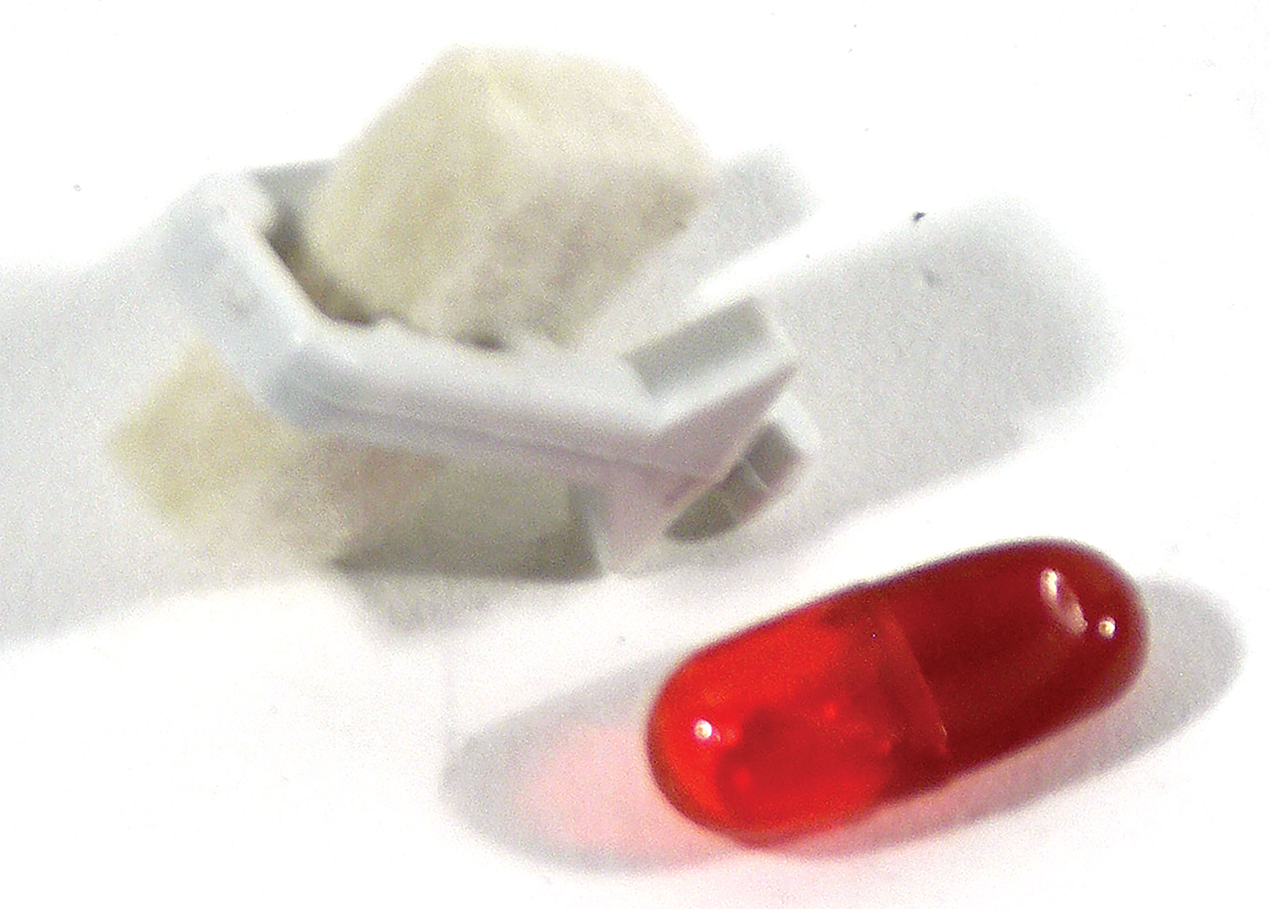 C2 1963-1967 Chevrolet Corvette Distributor Cam Lube Wick & Retainer. - CA